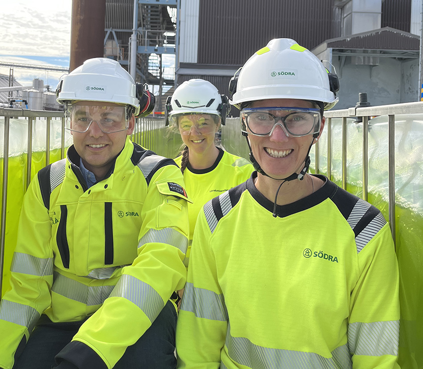 Södra odlar nu miljarder mikroalger i forskningsprojektet Algoland ...